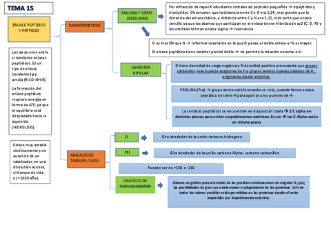 ESQUEMA-TEMA-15-BIOQUIMICA-2aBLOQUE.pdf