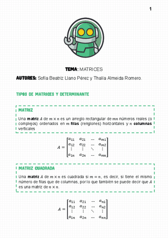 Tema-Matrices.pdf