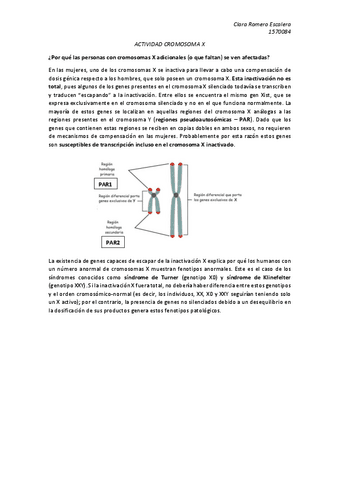 ACTIVIDAD-CROMOSOMA-X.pdf
