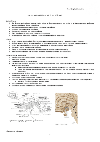 La Formacion Reticular Documentos De Google Pdf