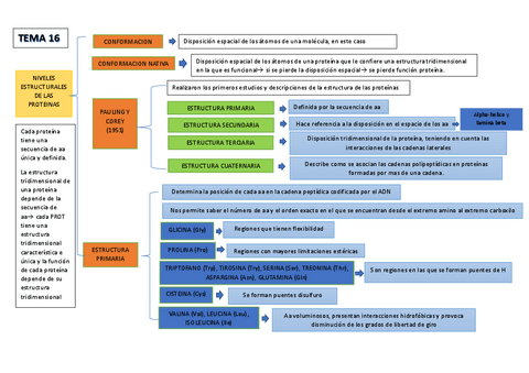 ESQUEMA-TEMA-16-BIOQUIMICA-BLOQUE-2.pdf
