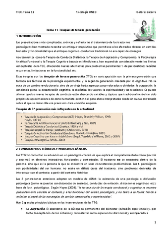 TICC-11-Resumen-DL.pdf