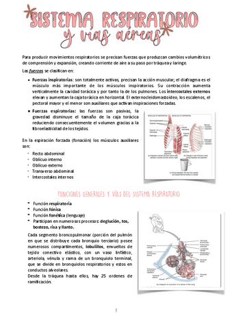 TEMA-2-MODULO-III.pdf