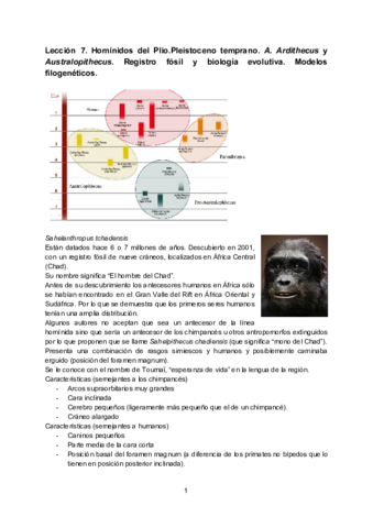 Tema 7. Australopithecus y Paranthropus.pdf