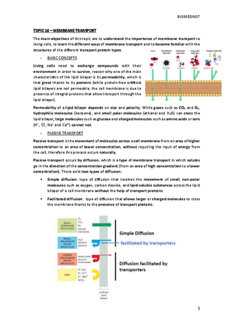 PART-3-CELL-BIOLOGY-PAPERS-AND-THEORY.pdf