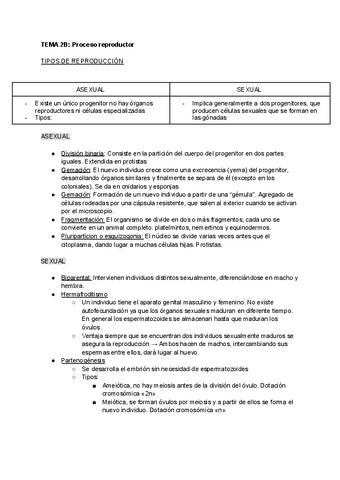TEMA-2B-Proceso-reproductor.pdf