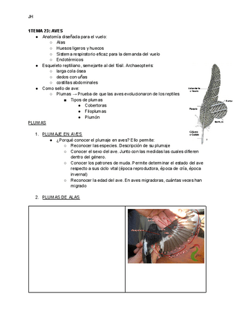 TEMA-23-AVES.pdf