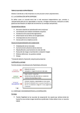 Tema-8-Direccion-Estrategica.pdf