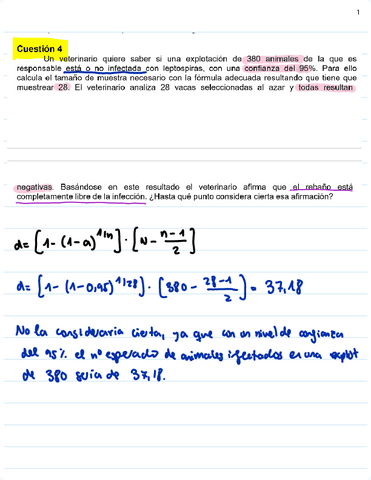 ejercicios-practica-1-extra.pdf