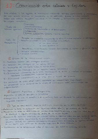 Tema-12-Comunicacion-entre-celulas-y-tejidos.pdf