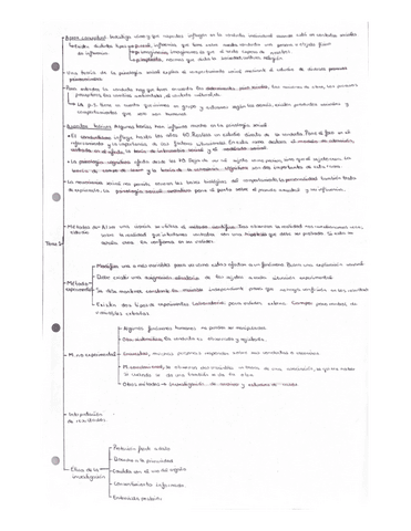 Mis-esquemas-social-grupo-1.pdf