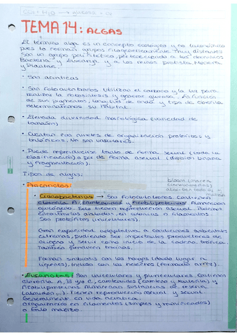 tema14-algas.pdf