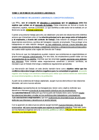 TEMA-1-SISTEMA-DE-RELACIONES-LABORALES.pdf