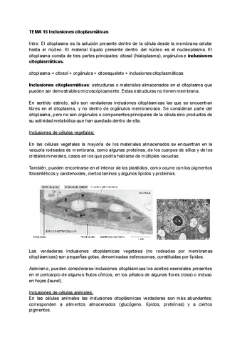 TEMA-15-Inclusiones-citoplasmaticas.pdf