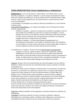 tema 8 - Cocos gram positivos TERMINADO.pdf