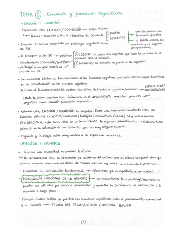 Tema 5 Emocion Y Procesos Cognitivos Esquemas Pdf