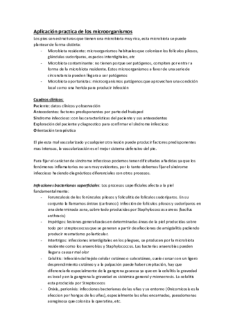 tema 20 - TERMINADO.pdf