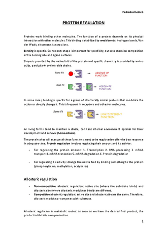 Protein-Regulation.pdf