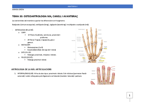 ANATO-1-SEGUNDO-CUATRI-T.-33-64.pdf