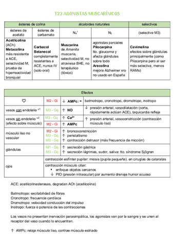 T23-AGONISTAS-MUSCARINICOS.pdf