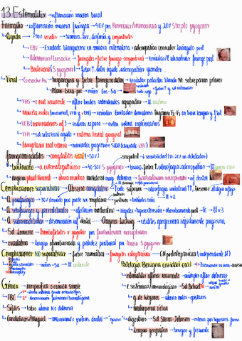 Resums-otorrino-2n-parcial.pdf