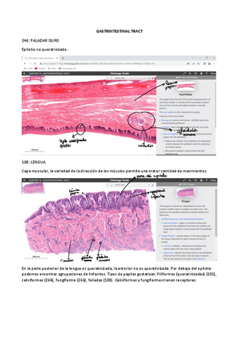 SEMINARIOS-2oP-pdf.pdf