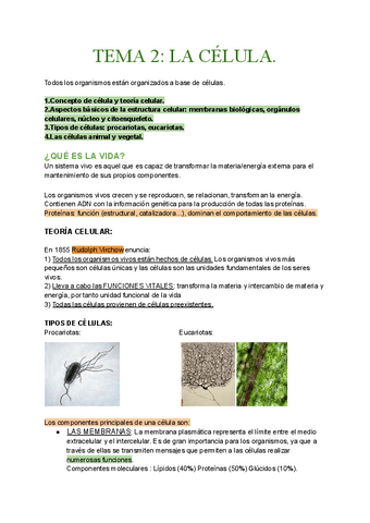 TEMA-2-LA-CELULA..pdf