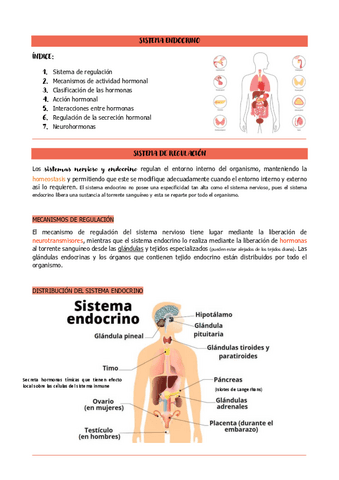 tema-5-estructura-y-funcion.pdf