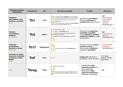 ESQUEMA-GENERAL-LTH.pdf