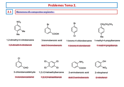 TEMA-2-PROBLEMES-RESOLTS.pdf