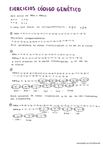 Ejercicios-codigo-genetico.pdf