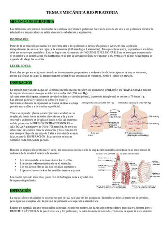 TEMA-3-MODULO-III.pdf