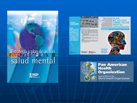 PLAN-DE-ACCION-1.pdf