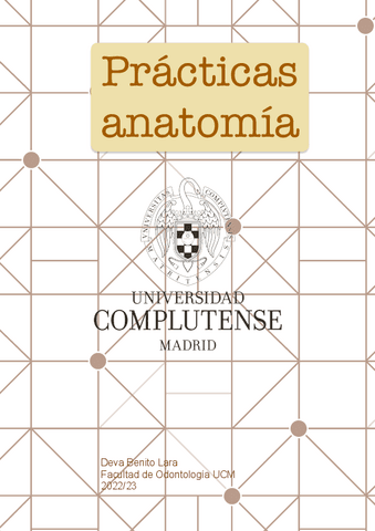 Practicas-Anatomia-craneo.pdf