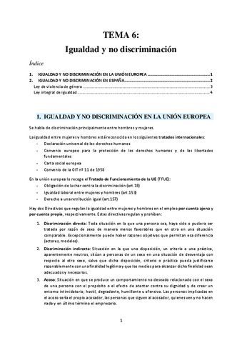 TEMA-6-Igualdad-y-no-discriminacion.pdf