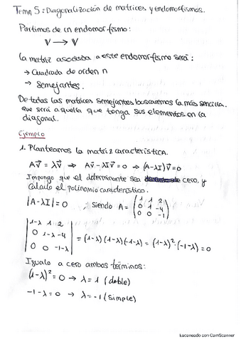 RESUMEN-TEMA-5-DIAGONALIZACION.pdf