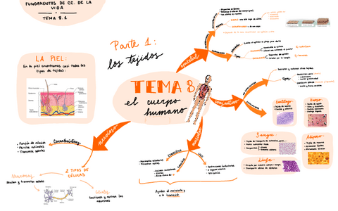 Mapa-Mental-Tema-8.1.pdf