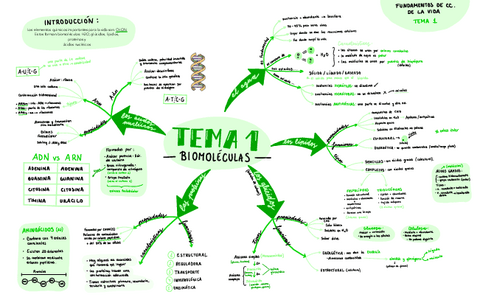 Mapa-Mental-Tema-1.pdf