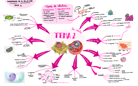 Mapa-Mental-Tema-2.pdf