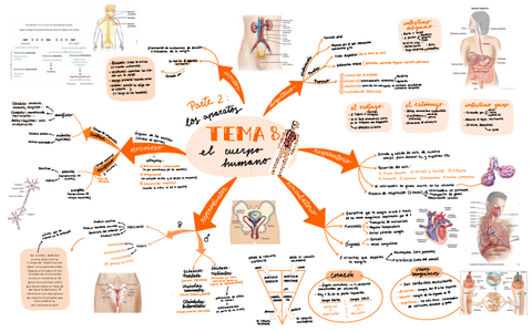 Mapa-Mental-Tema-8.2.pdf