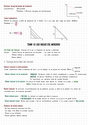 ESQUEMA-RESUMEN-TEMA-10-MICRO.pdf