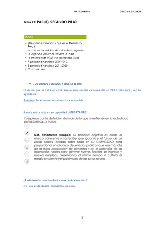 Tema-11-PAC-II.-Segundo-pilar.pdf