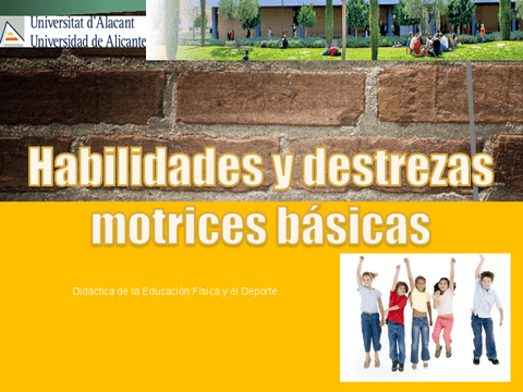 8.-HABILIDADES-Y-DESTREZAS-MOTRICES-BASICAS.-Castellano-2-2-2.pdf