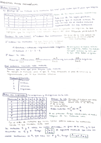 Problemas-rutas-metabolicas.pdf