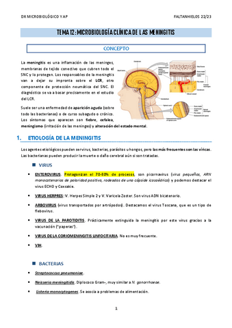 12.-Microbiologia-clinica-de-las-meningitis.pdf