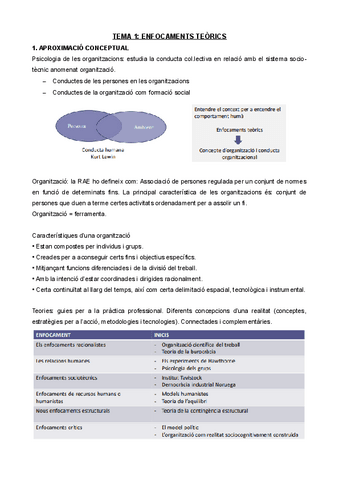 Apunts-complets-organitzacions.pdf
