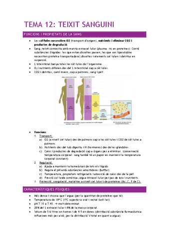 TEMA-12-TEIXIT-SANGUINI.pdf