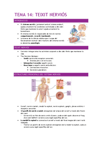 TEMA-14-TEIXIT-NERVIOS.pdf
