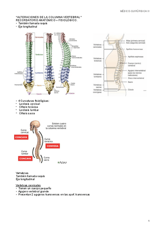 ALTERACIONES-DE-LA-COLUMNA-VERTEBRAL.pdf
