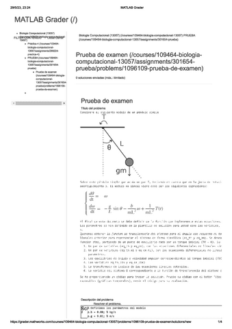 Prueba-examen-MATLAB.pdf